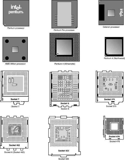 What Are The 2 Types Of Cpu At Juliana Heinen Blog